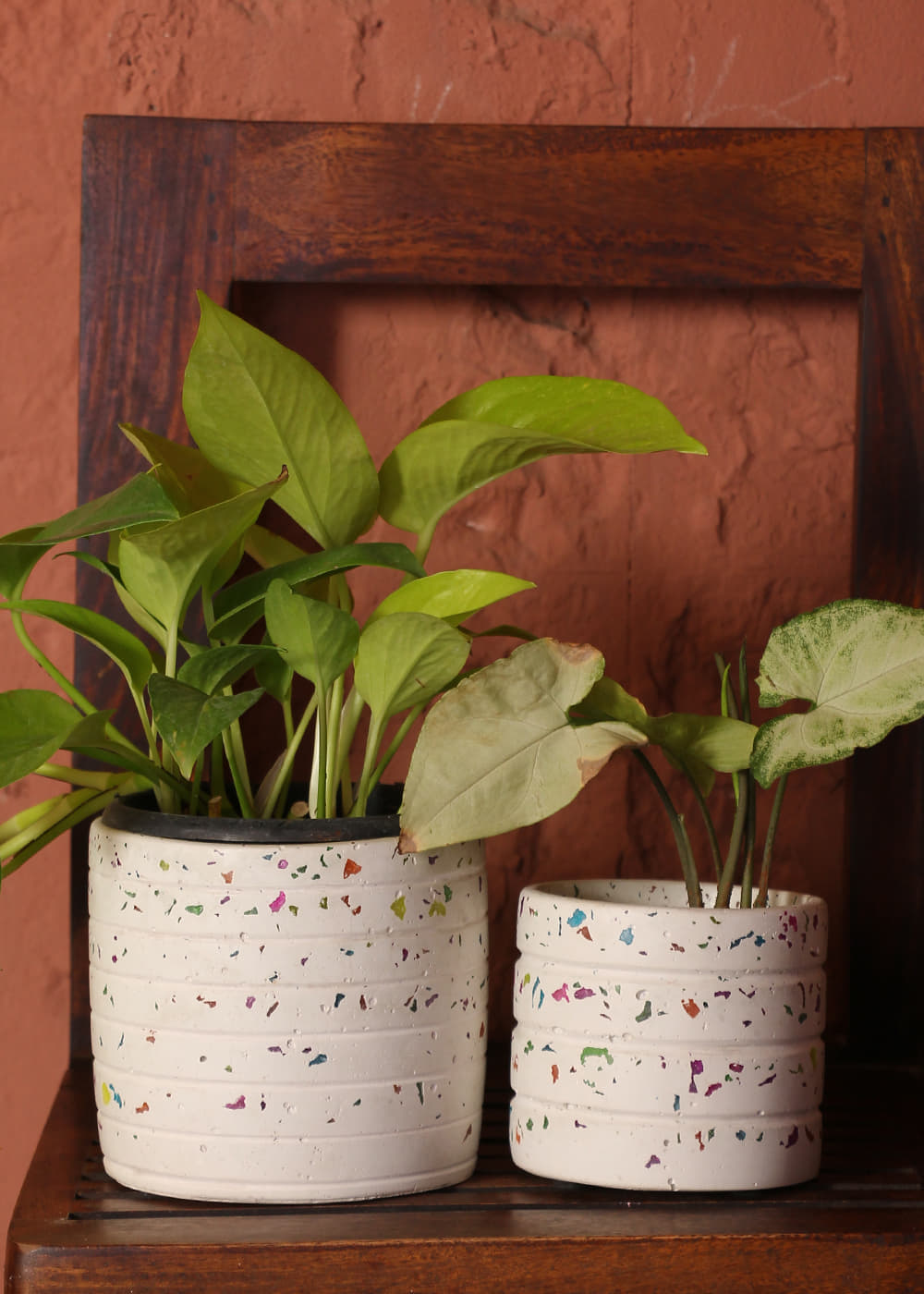 Get Set of 2 Zapin Neon Terrazzo Concrete Planter at ₹ 1350 | LBB Shop